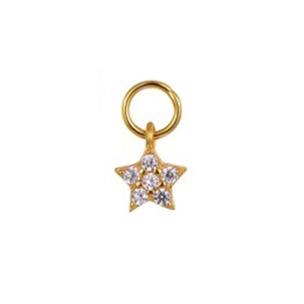 Mini Star Charm – DASH